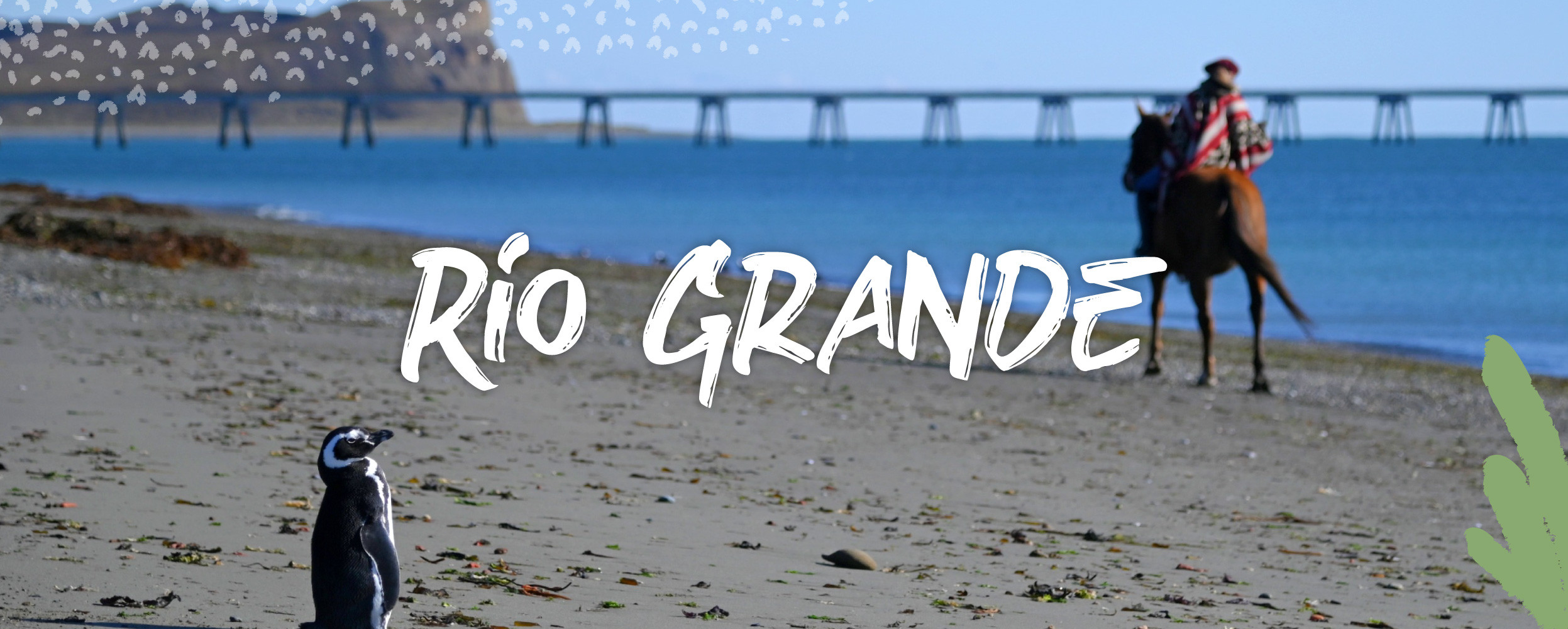 Qué hacer en Río Grande | Fin del Mundo - Tierra del Fuego, Ushuaia ...